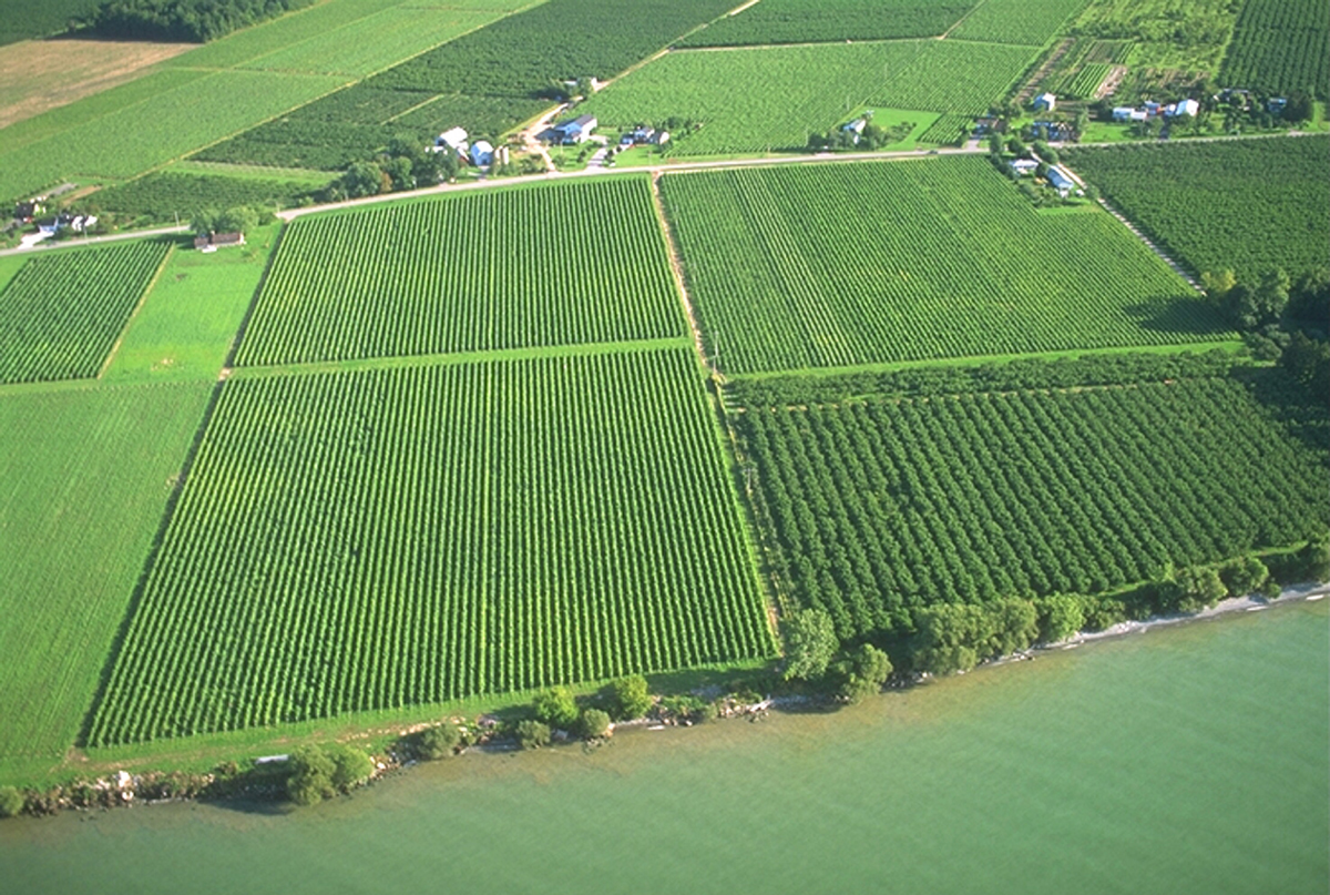 Agriculture and Horticulture – Lafferty Learning Center