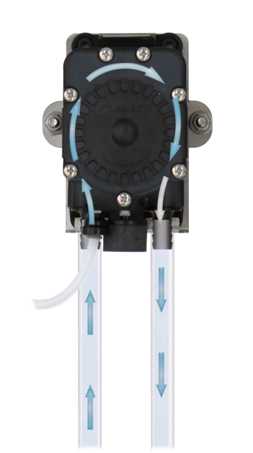 Liberty LC Foamer – Lafferty Learning Center